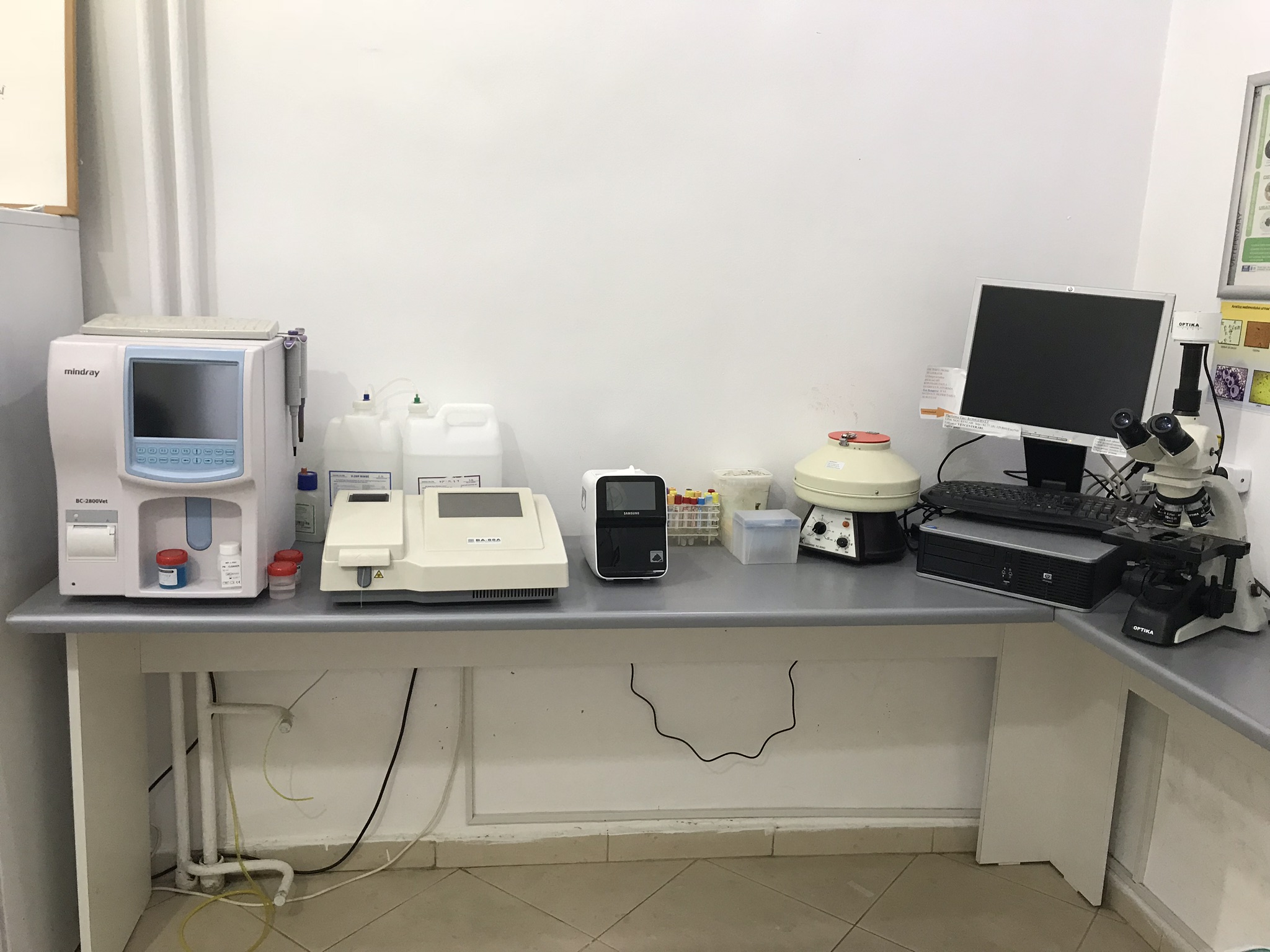 Ghid de recoltare sânge la câine și pisici – VetCenter